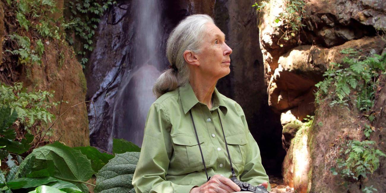Jane Goodall on a life as a woman defending the wild | Chatham House ...