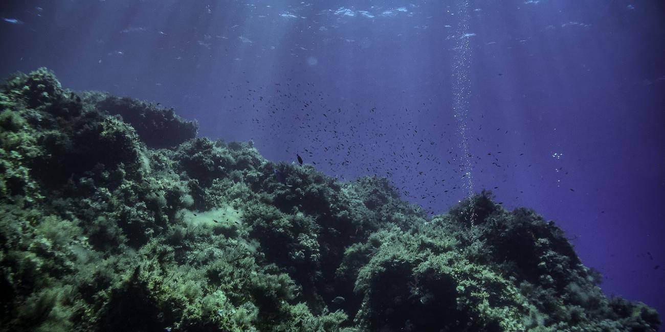 The Blue Economy: Harnessing the Ocean’s Resources for Sustainable ...