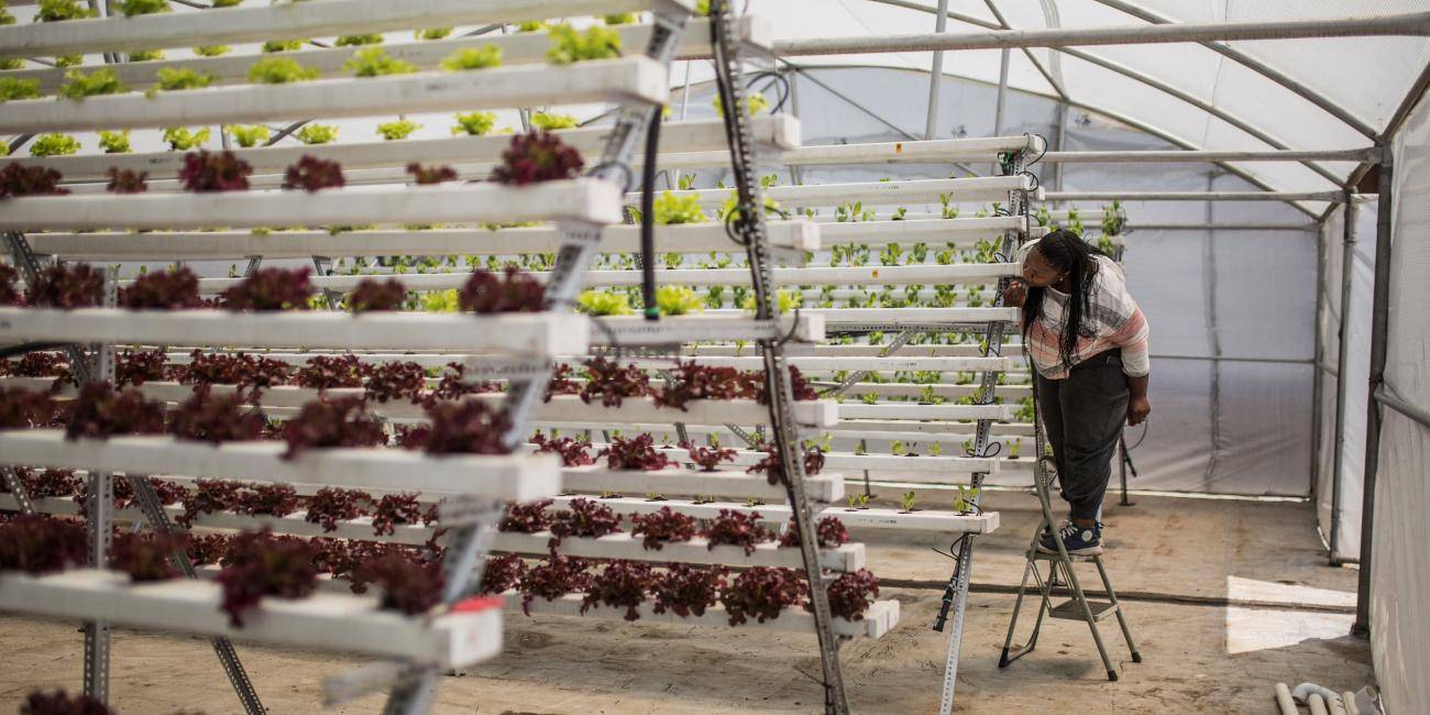 An Inclusive Circular Economy | Chatham House – International Affairs ...