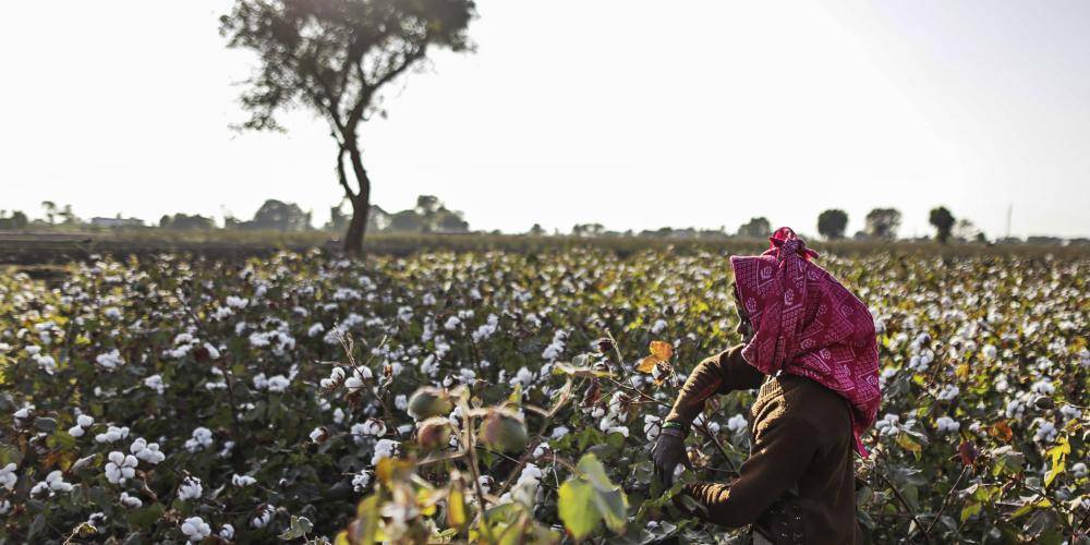 Advancing human rights through trade | Chatham House – International ...