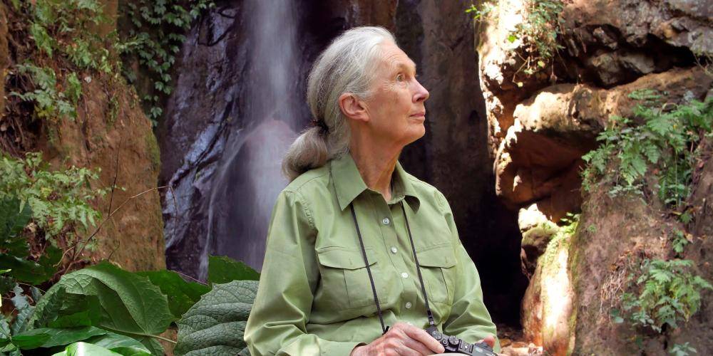 Jane Goodall on a life as a woman defending the wild | Chatham House ...