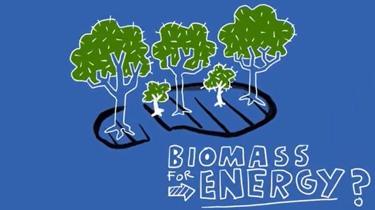 American business is still in the clean energy race | Chatham House ...
