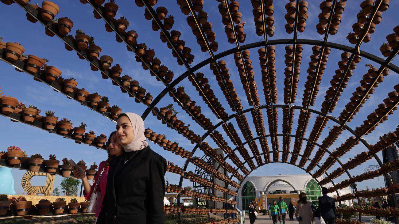 Governments face losing the battle against climate change | Chatham ...