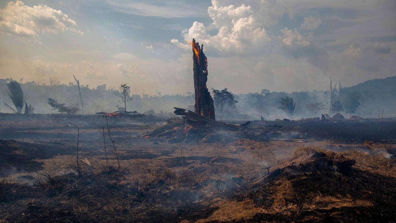 The Climate Briefing: In conversation with Ana Toni, the CEO of COP30 ...