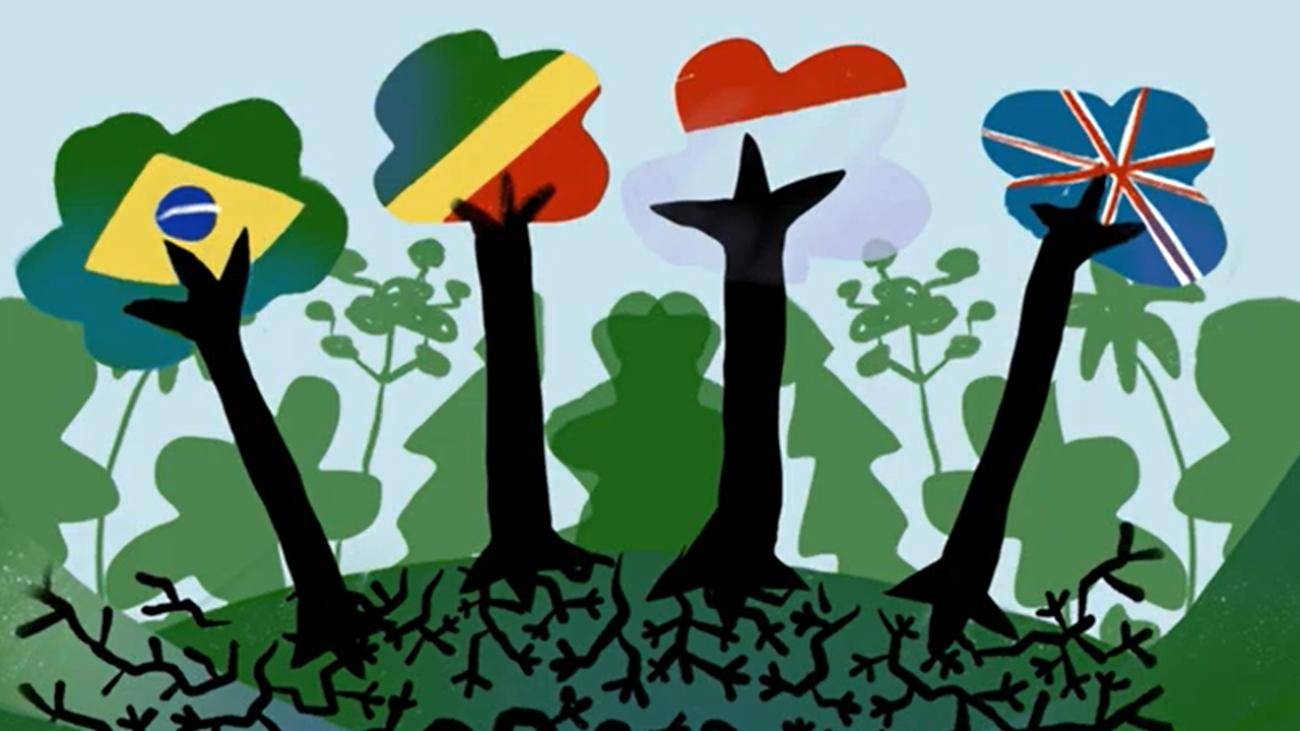 The Climate Briefing: In conversation with Ana Toni, the CEO of COP30 ...