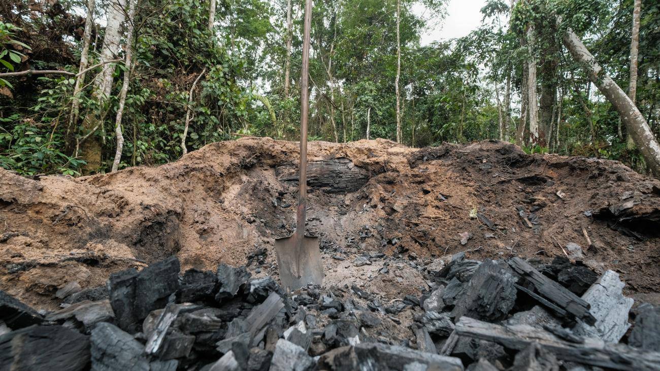 Deforestation in Africa | Chatham House – International Affairs Think Tank