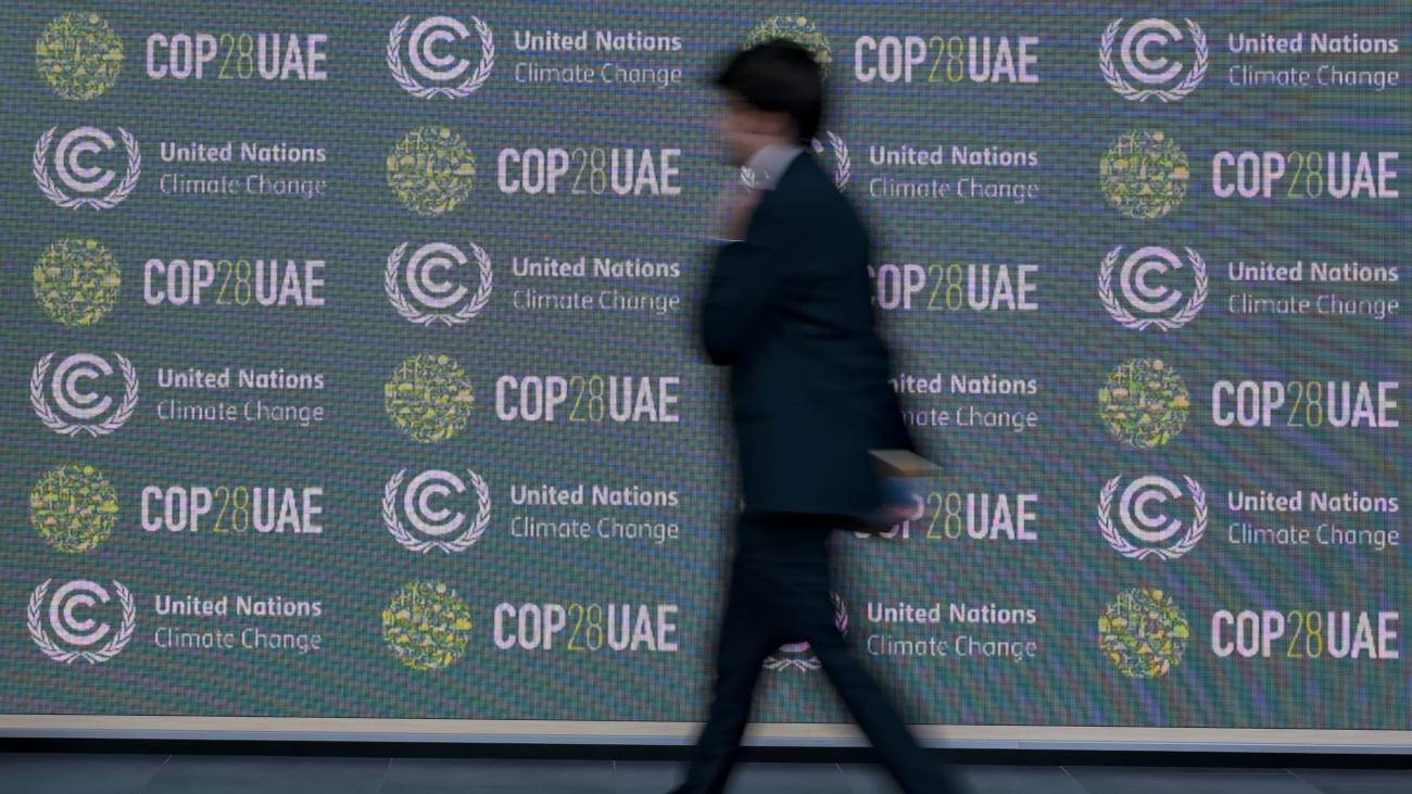 What is COP29 and why is it important? | Chatham House – International ...