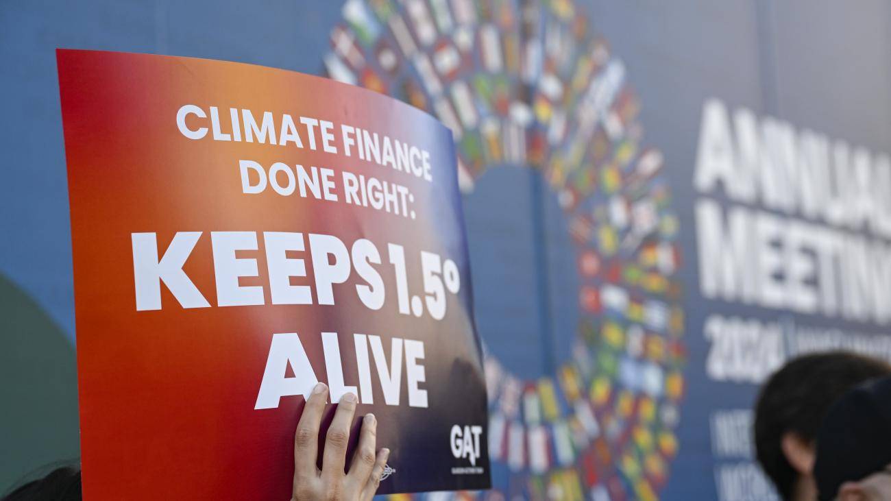 What is COP30 and why does it matter for the climate? | Chatham House ...