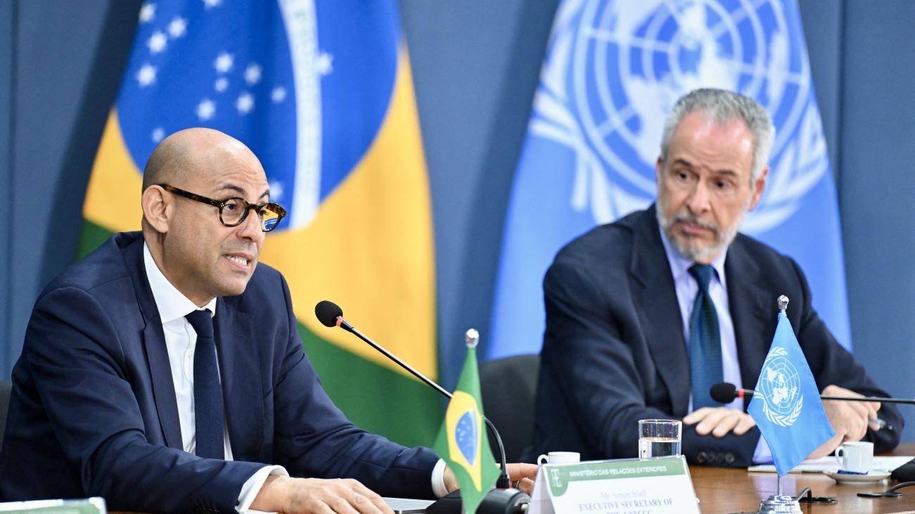 The Climate Briefing: What happened at COP30? | Chatham House ...