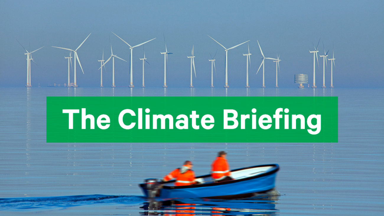 Environment | Chatham House – International Affairs Think Tank