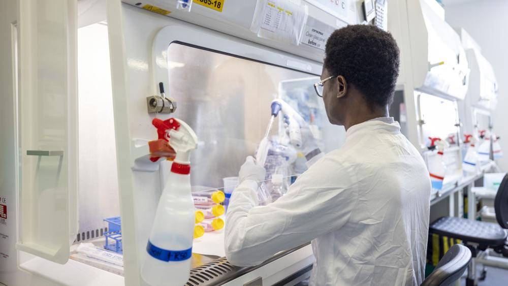 What is the difference between a pandemic and a PHEIC? | Chatham House ...