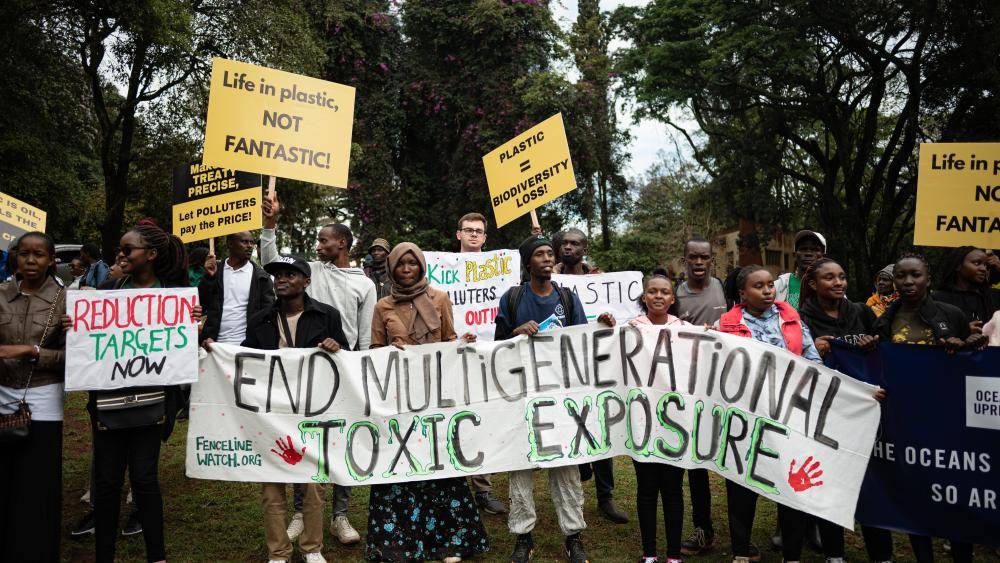 What is COP29 and why is it important? | Chatham House – International ...