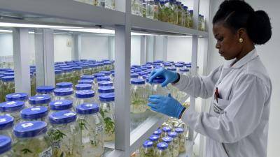 A History of Think-Tanks: 12 Things You Should Know | Chatham House ...