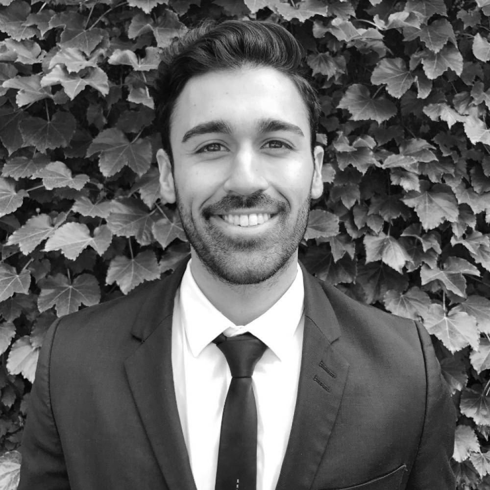 The response of the international economic architecture to climate ...