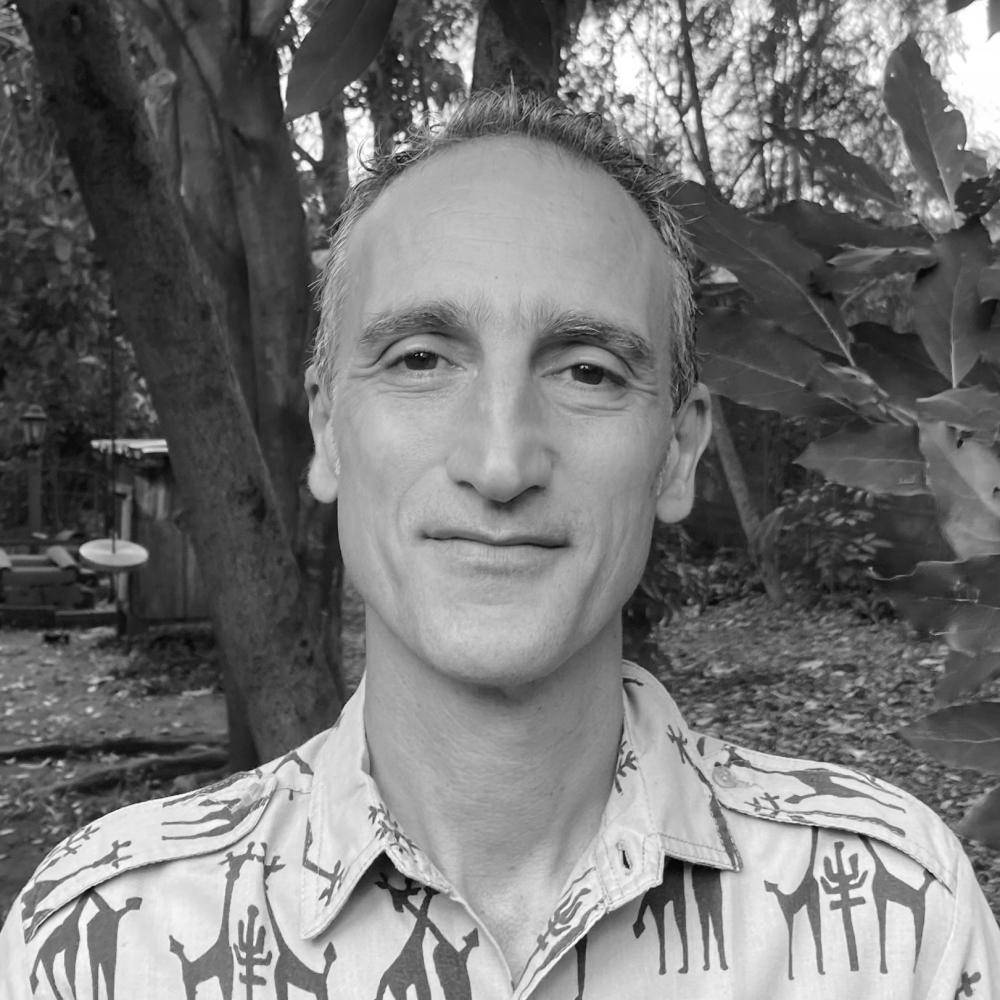 Deforestation in Africa | Chatham House – International Affairs Think Tank