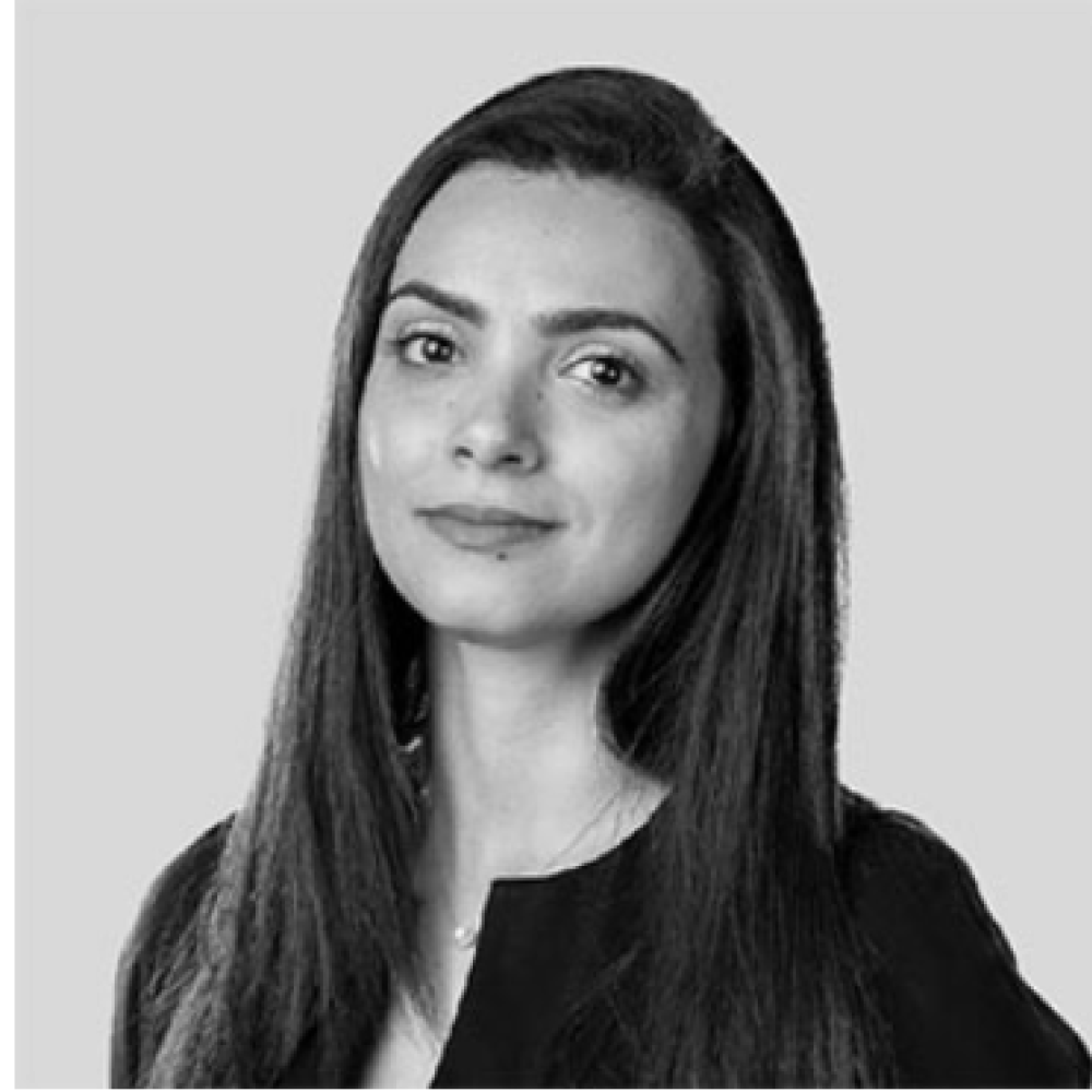 Energy transitions 2024