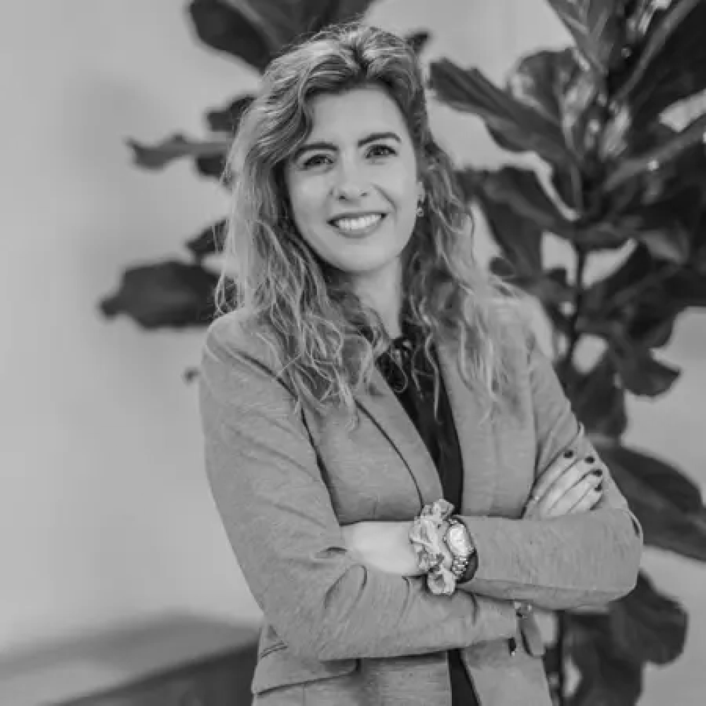 Climate and energy summit 2025