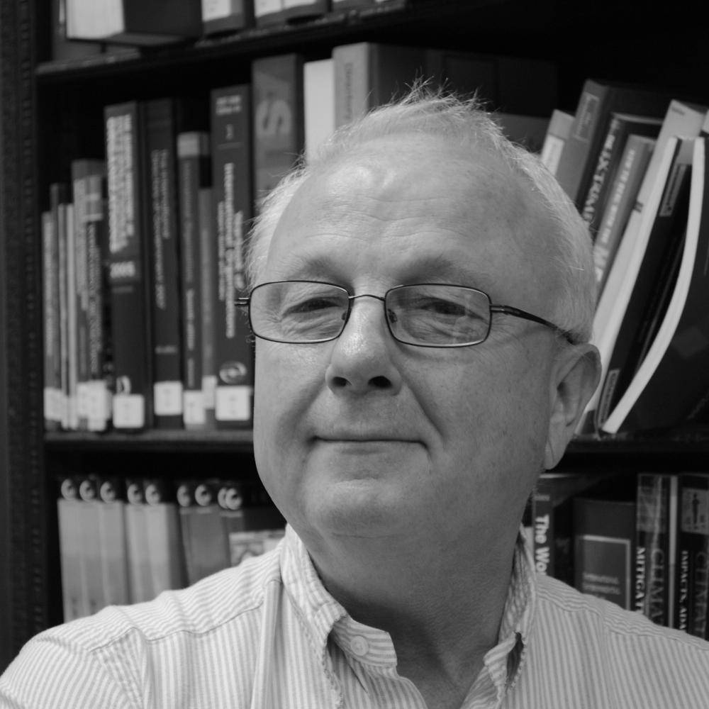 Solidarity in response to the COVID-19 pandemic | Chatham House ...