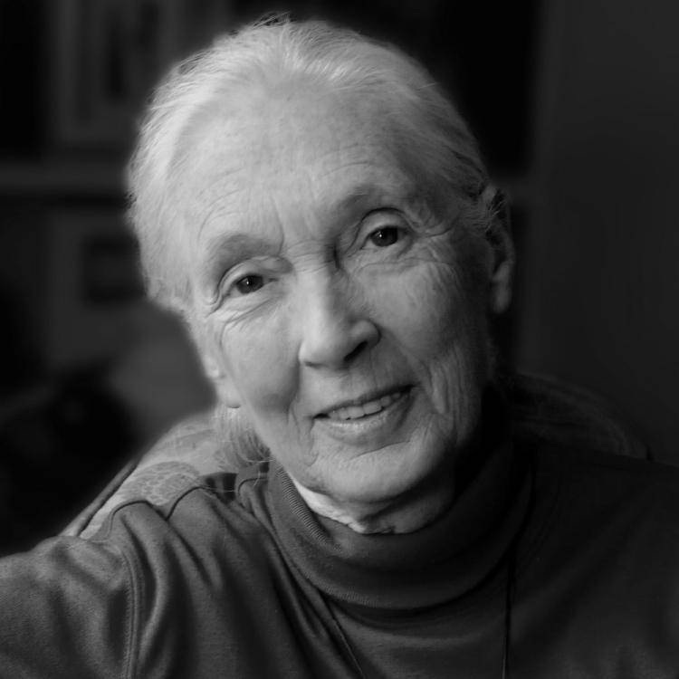 Jane Goodall on a life as a woman defending the wild | Chatham House ...