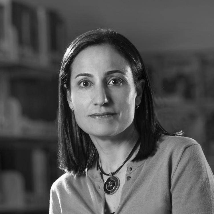 Building sustainable cooperation in the Middle East and North Africa