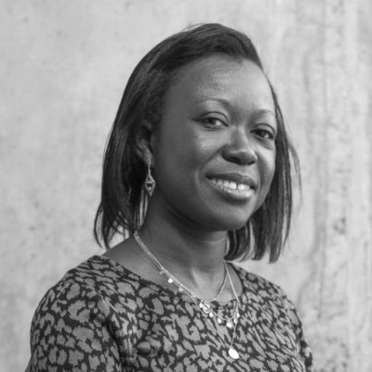 Reflections on African diaspora engagement and policy evolution