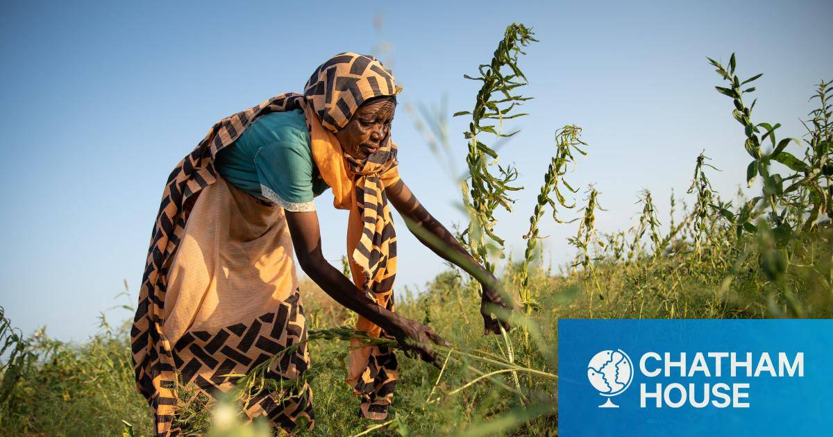 The ‘conflict economy’ of sesame in Ethiopia and Sudan | 03 The ...