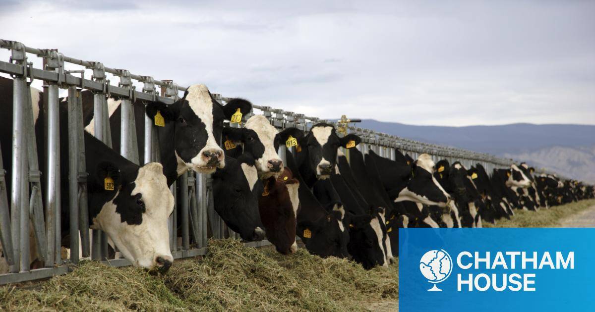 Livestock – Climate Change’s Forgotten Sector: Global Public Opinion on ...