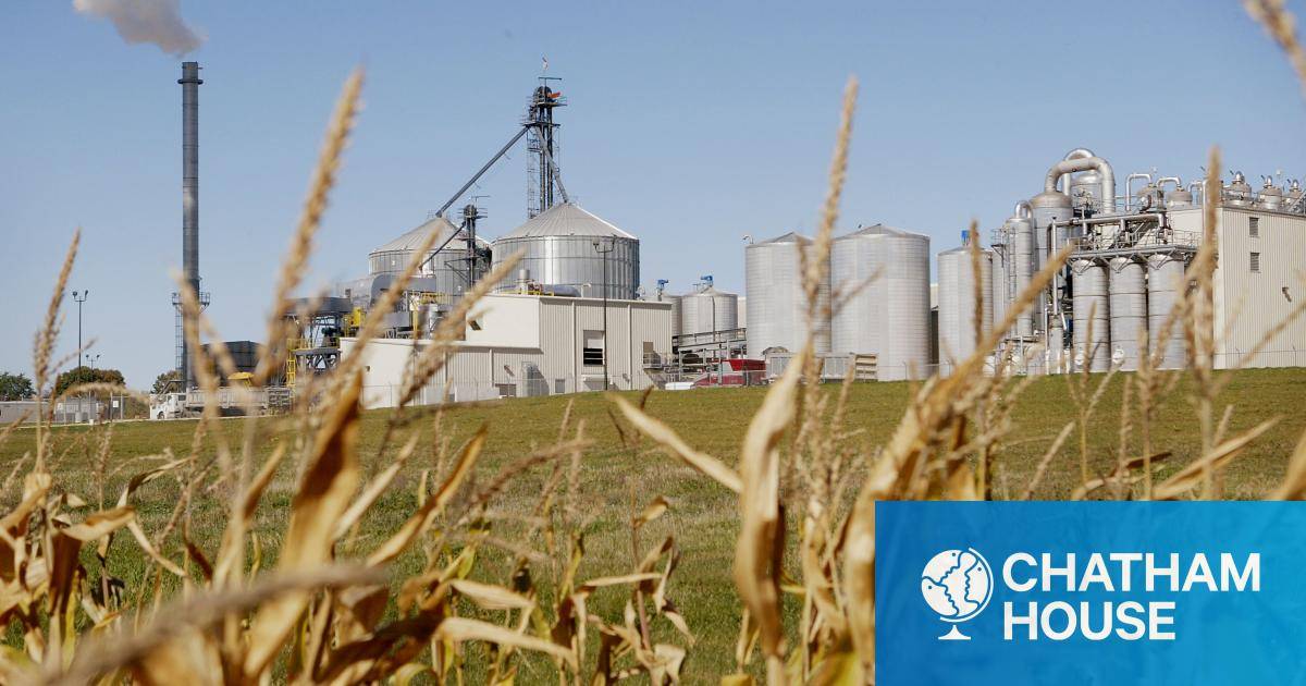 Net Zero and Beyond: What Role for Bioenergy with Carbon Capture and ...