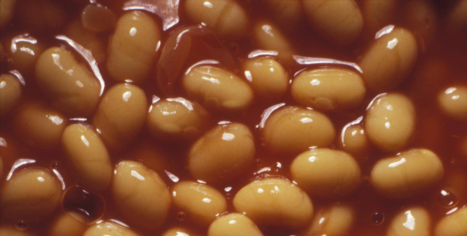 Baked beans | Chatham House – International Affairs Think Tank