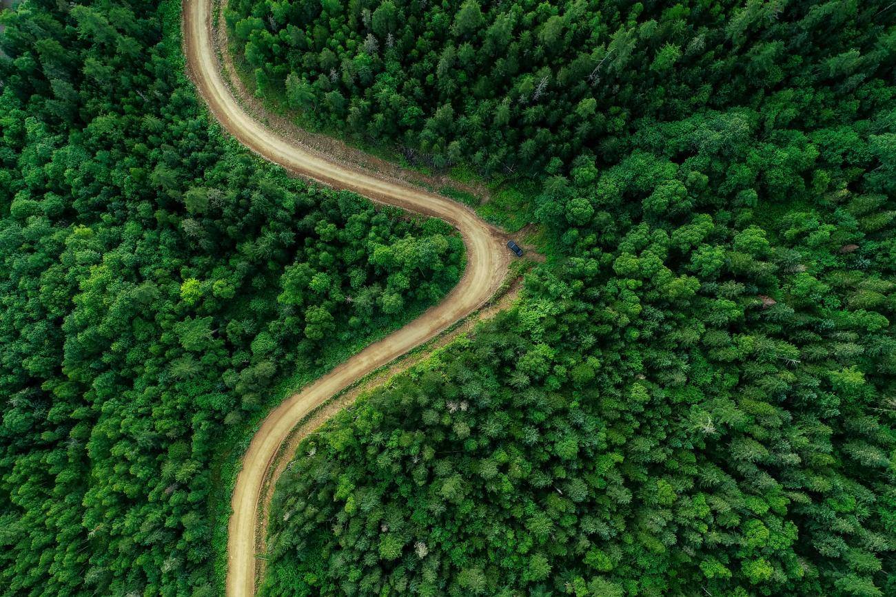 Balancing Demands on the World’s Forests | Chatham House ...